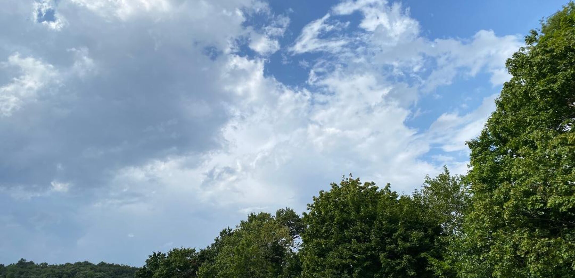 Cloudy today with seasonably mild temperatures! More rain tonight into ...